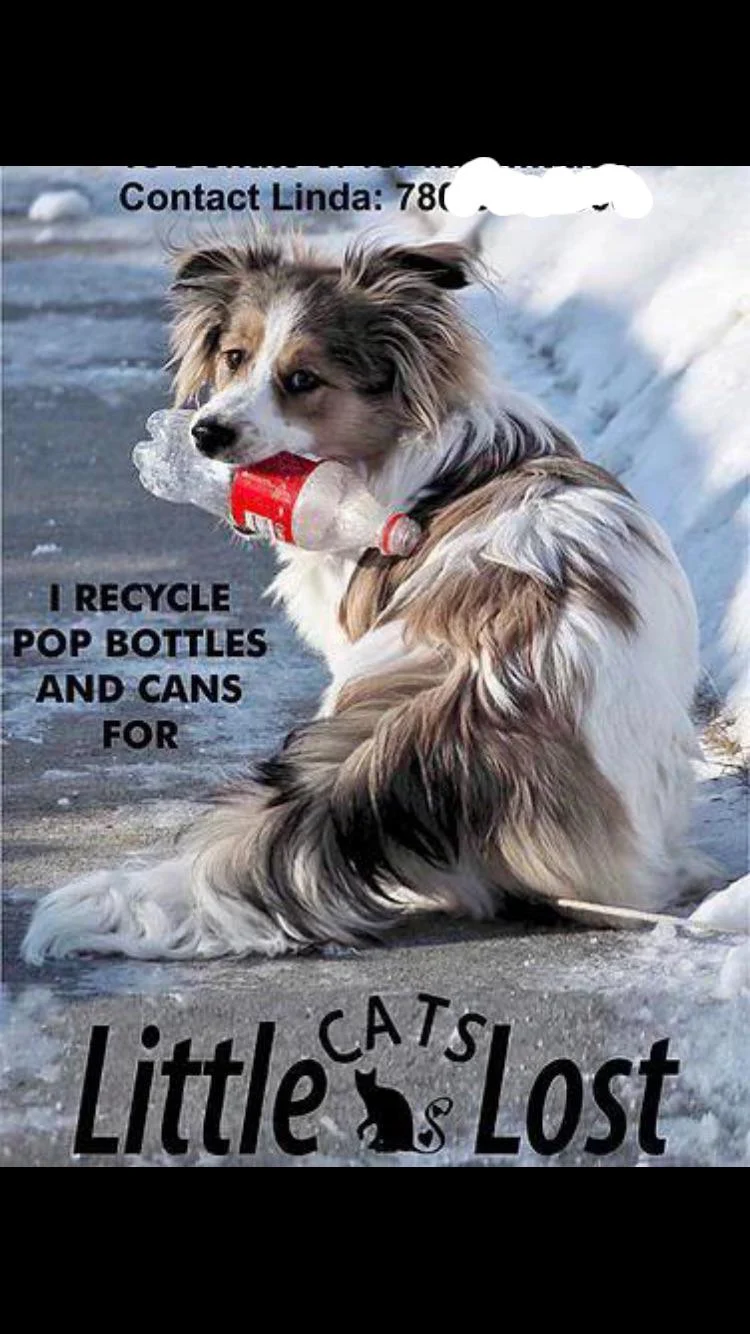 Seen on r/Edmonton | Scrolller