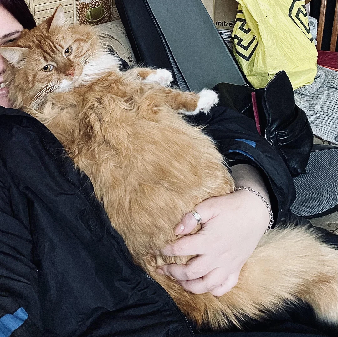 Absolute unit | Scrolller