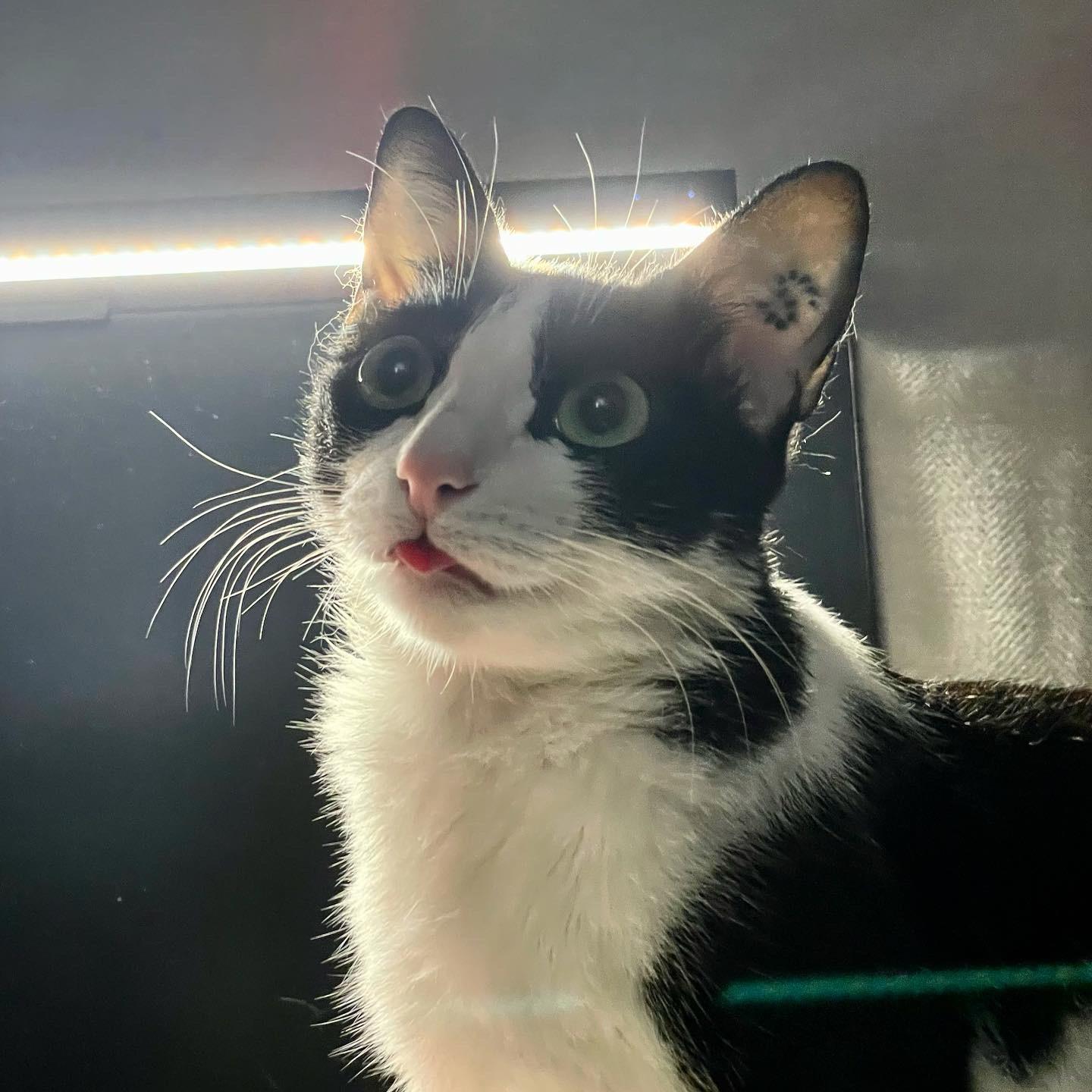 Caught him stuck staring into space | Scrolller