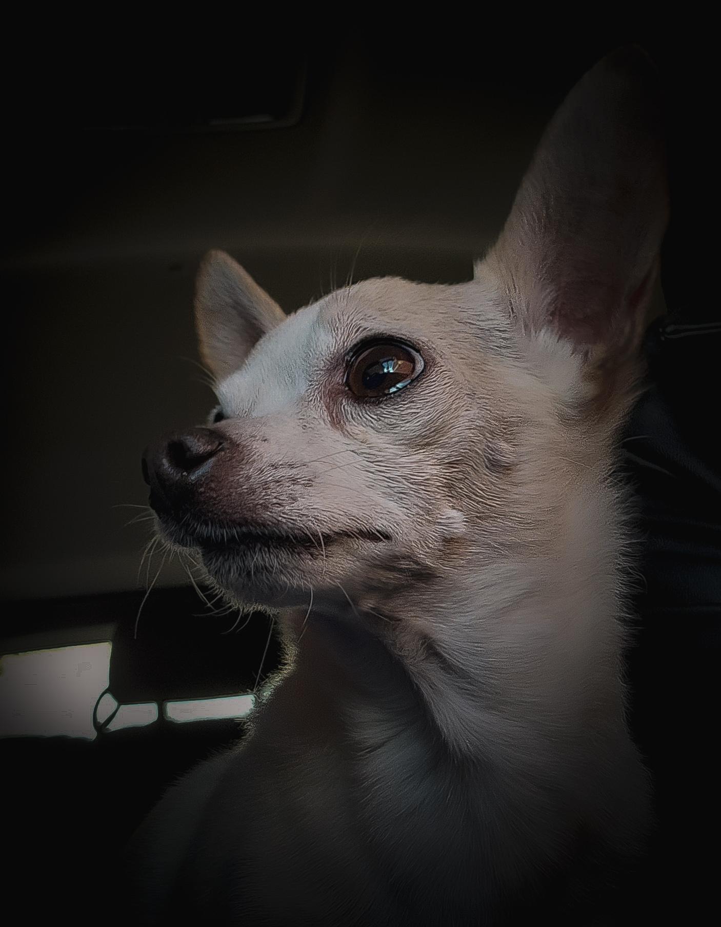 He's a model , a stud | Scrolller