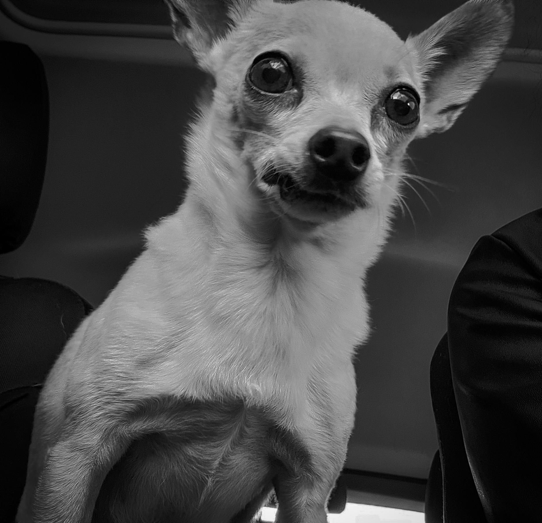 He's a model , a stud | Scrolller