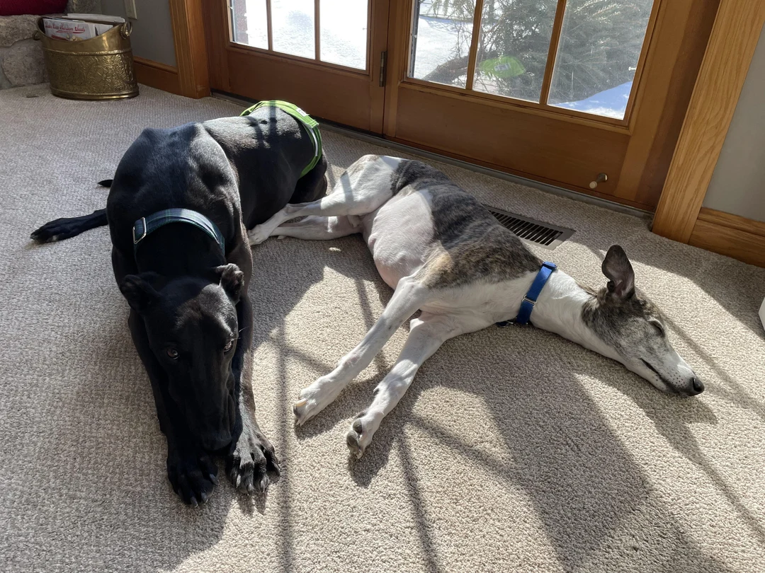 Personal space? Nope! | Scrolller