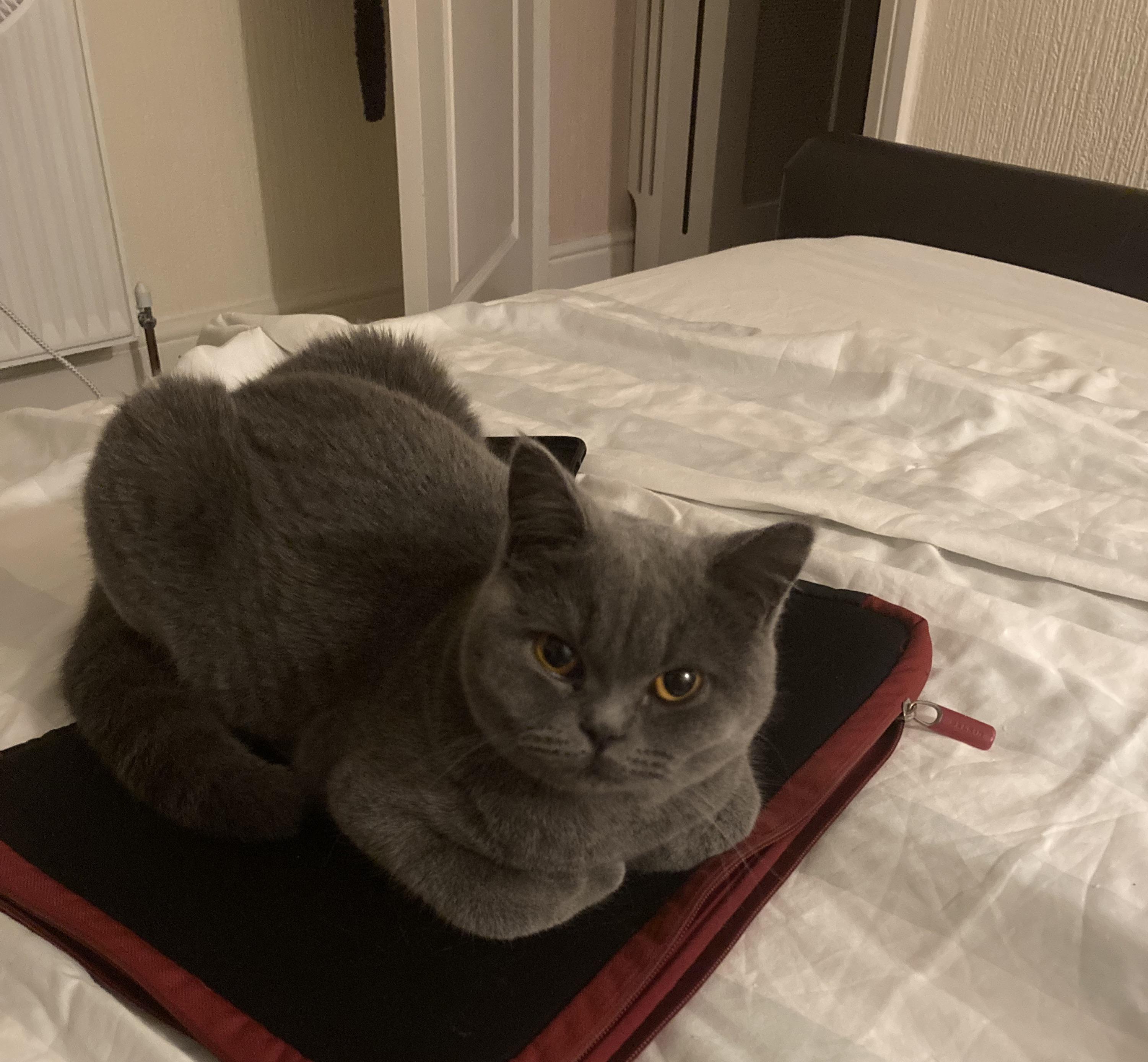 Laptop case is the perfect proving location | Scrolller