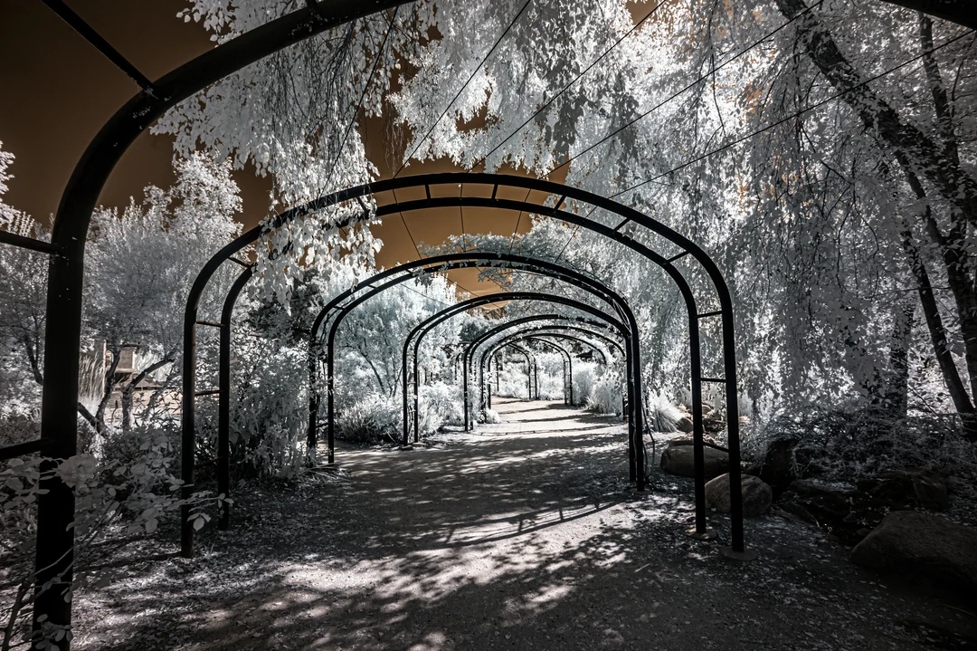 Garden Path | Scrolller