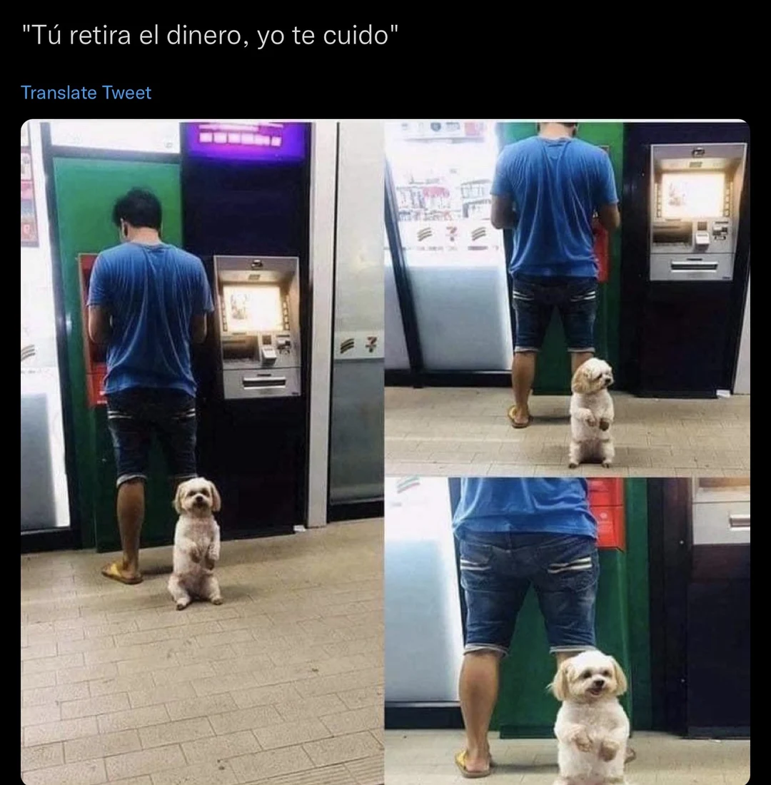 They call him “The Bodyguard” | Scrolller