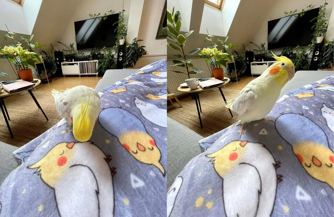 What the fluff! This me mom?? | Scrolller