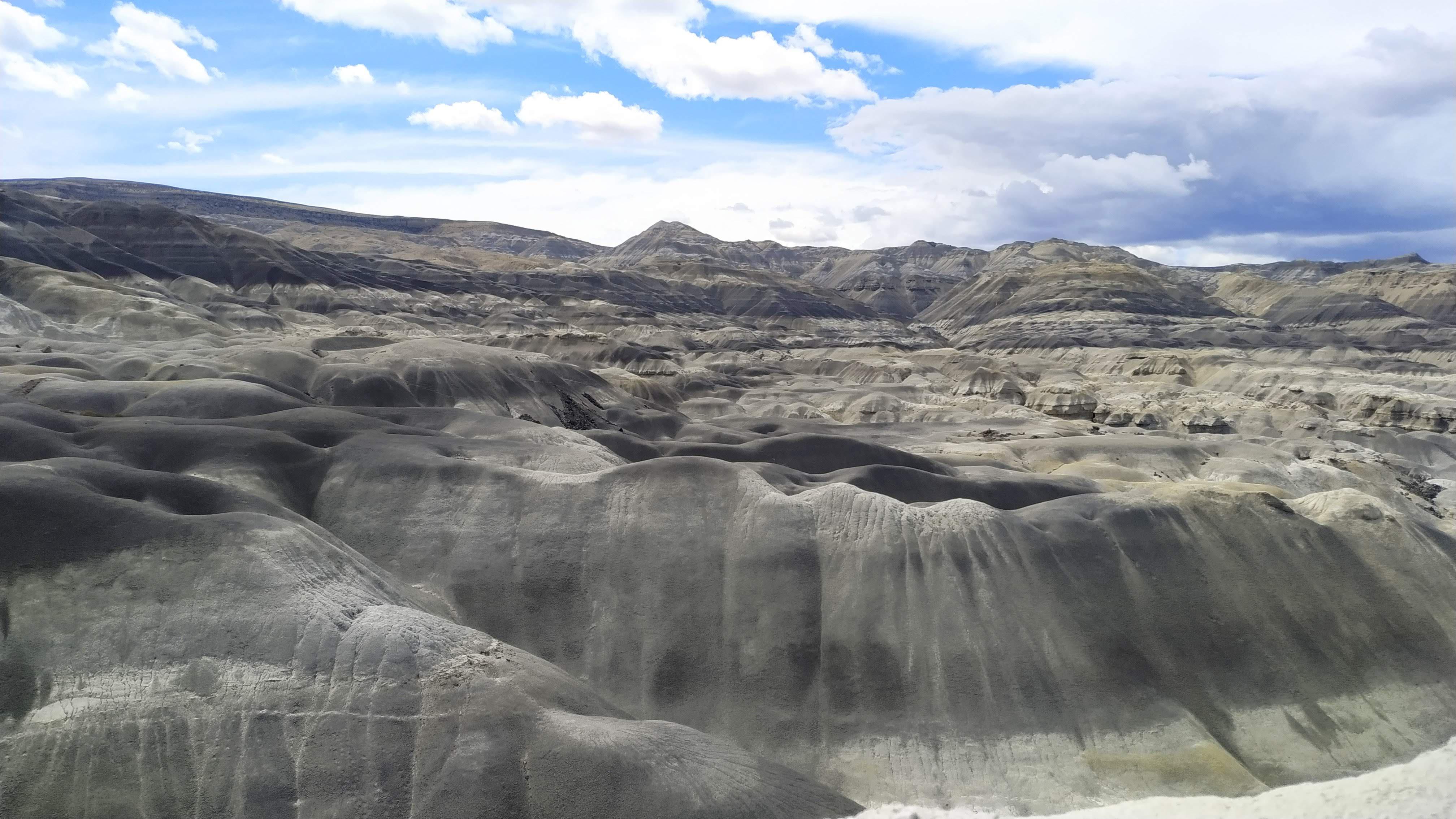 It is amazing this is next to a river: Petrified Forest 'La leona' in Calafate - Argentina [OC ...