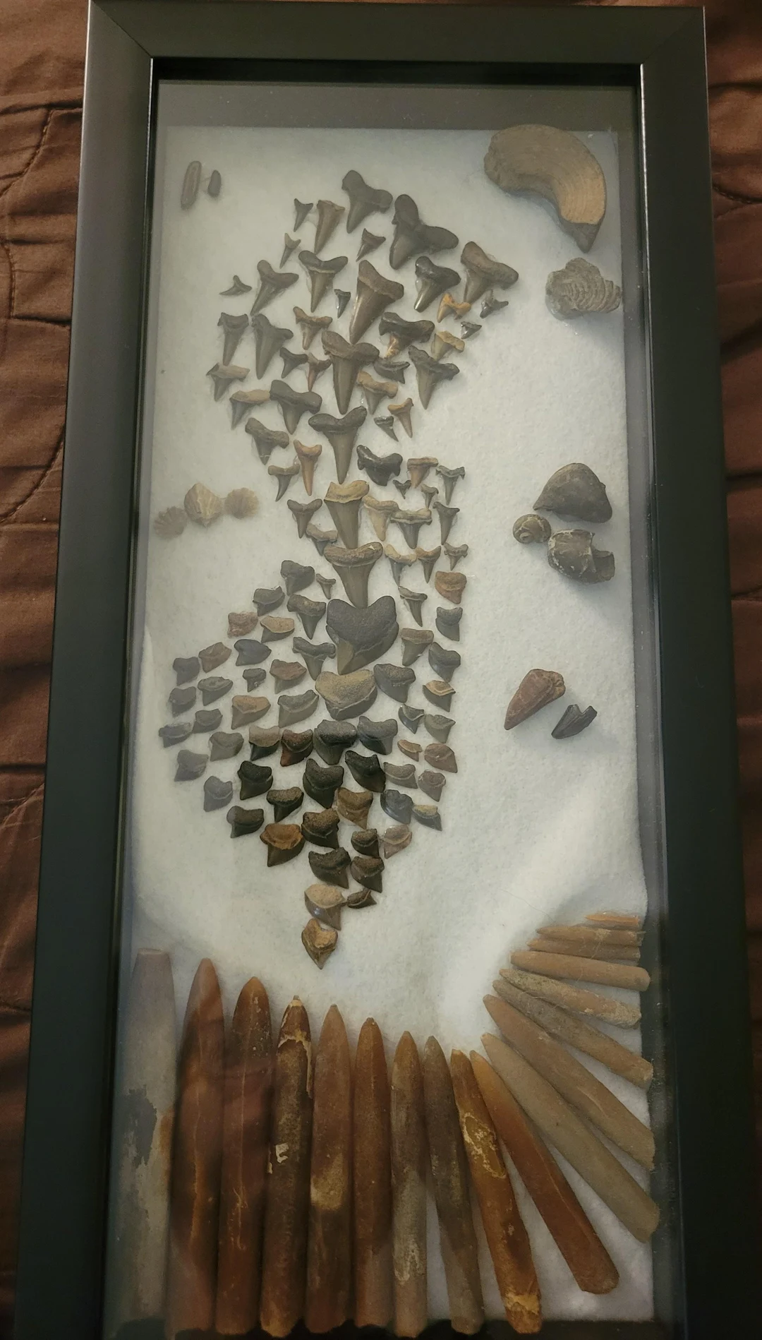 My new display from my NJ finds | Scrolller