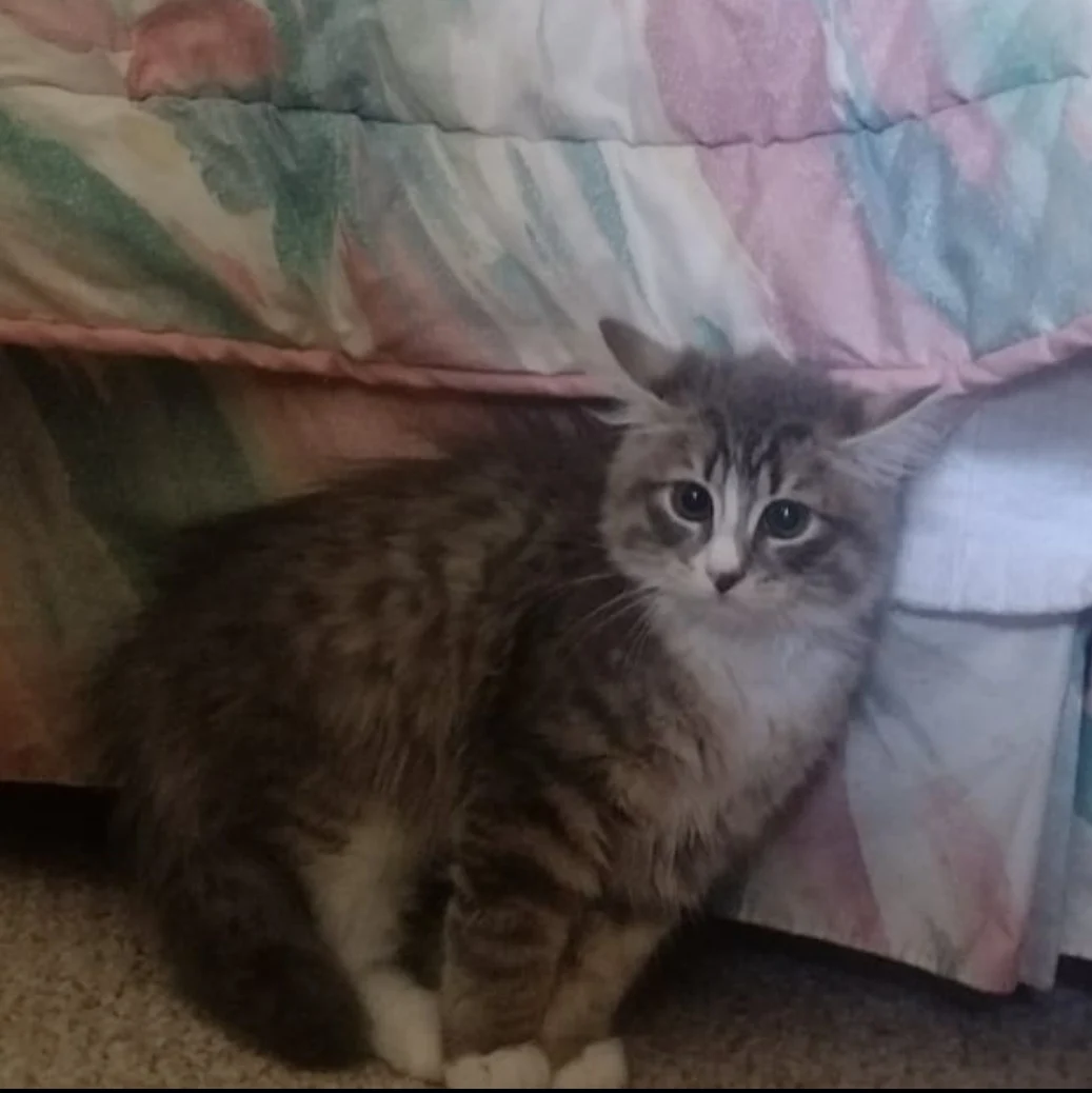 Samson got scared | Scrolller