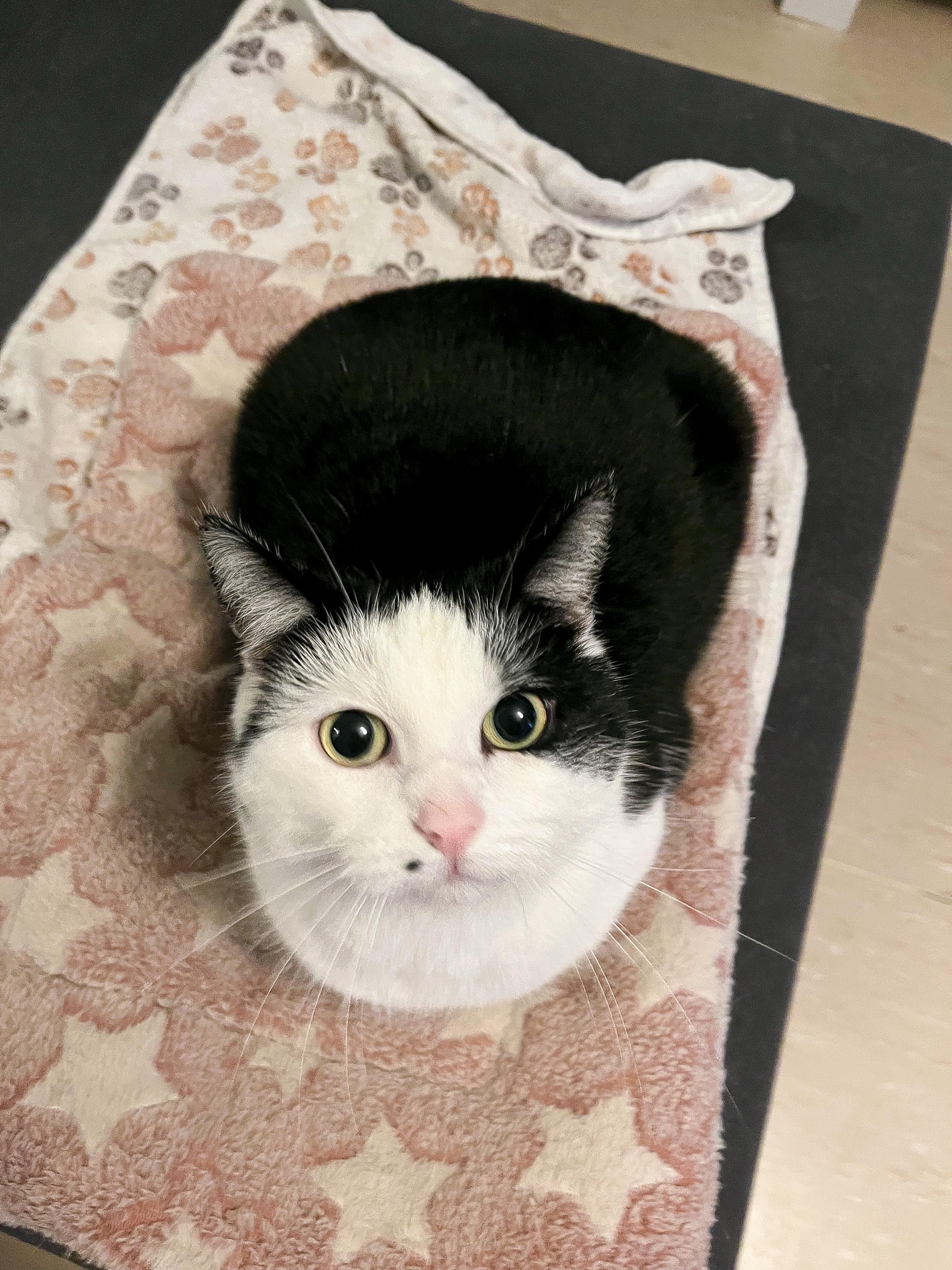 My little loaf | Scrolller