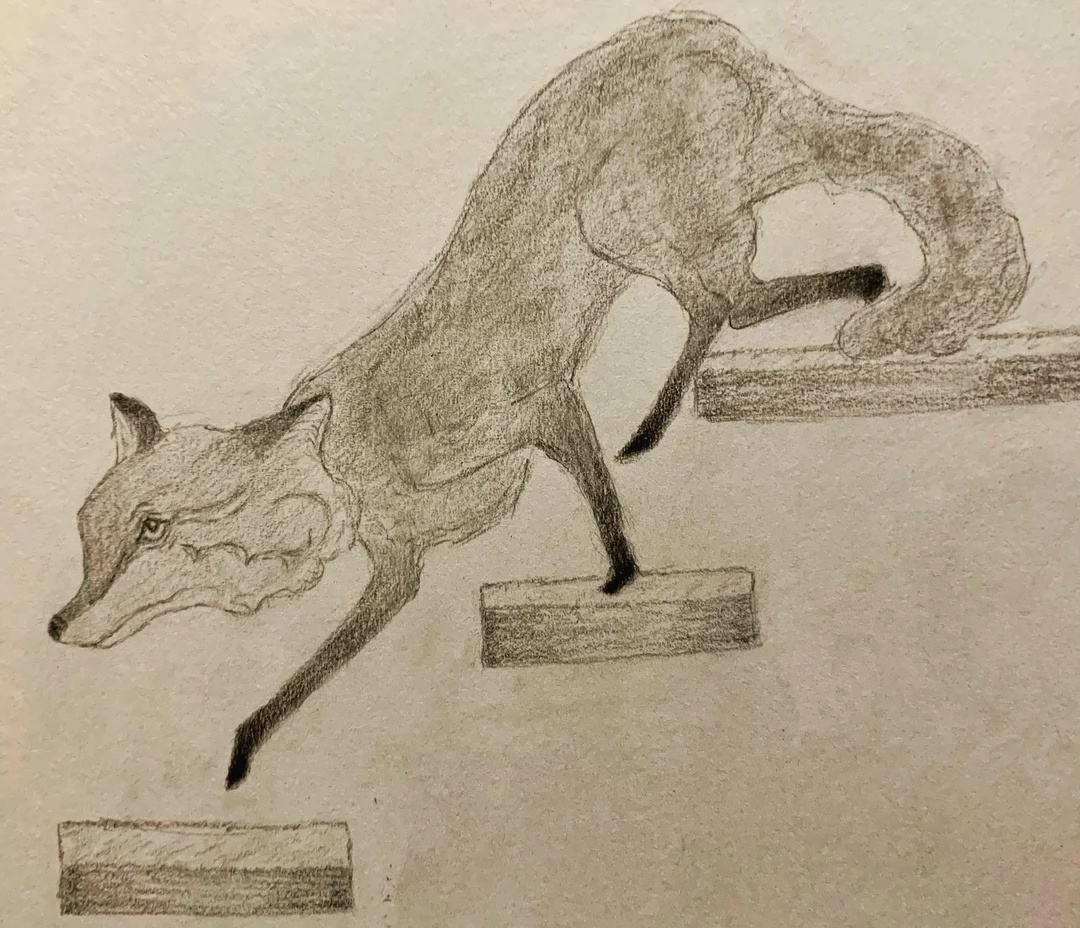 Sly fox,me, pencil,2022 | Scrolller