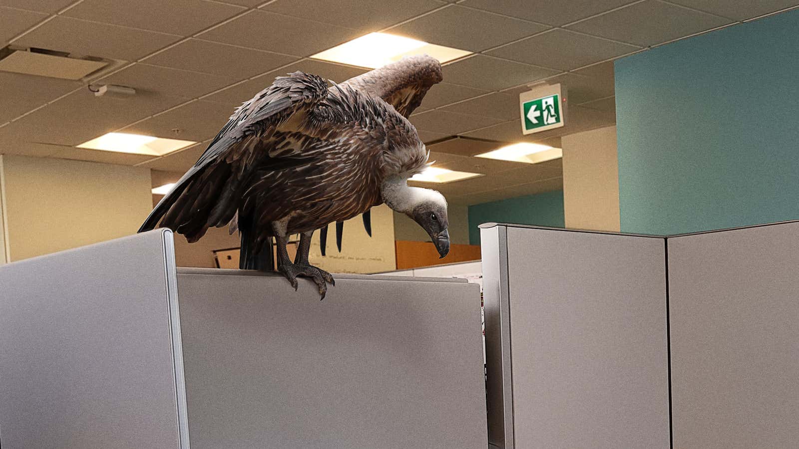 Boss watching employee | Scrolller