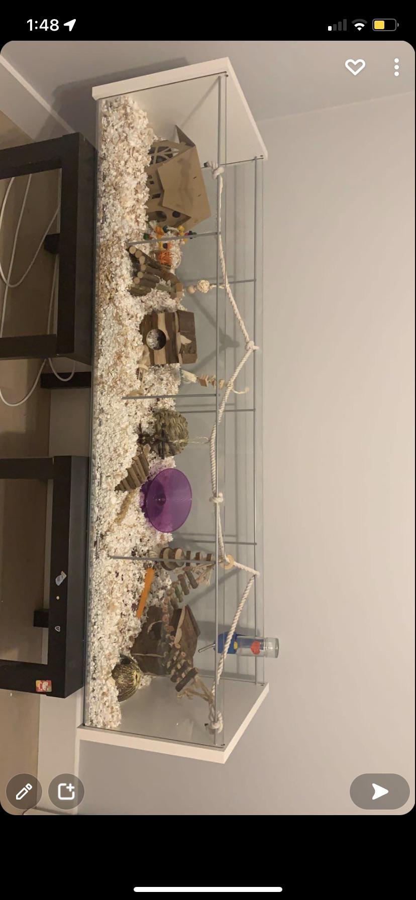 My new cage!! | Scrolller