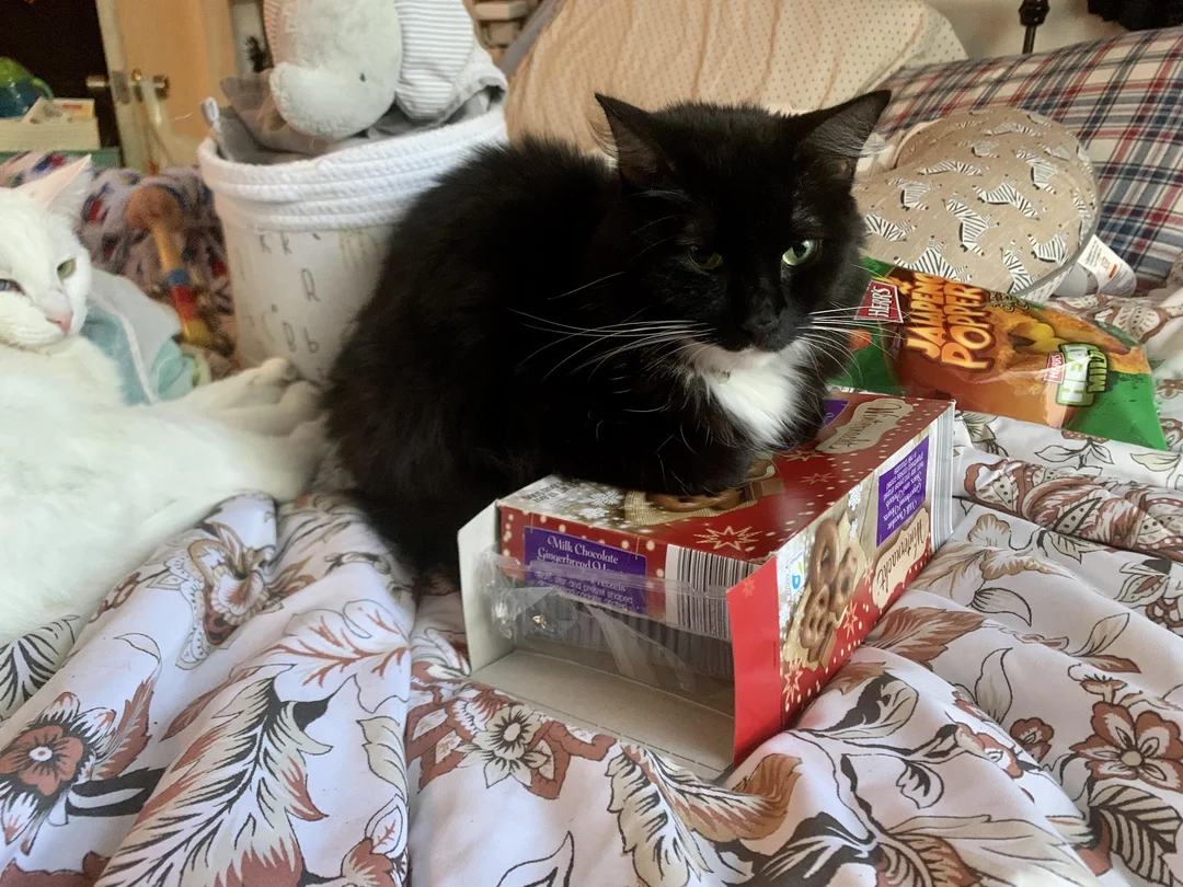 Success?? | Scrolller