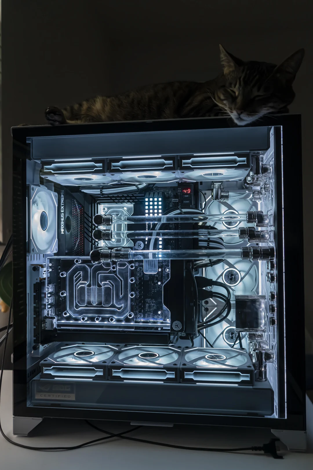 New Year, New Build | Scrolller