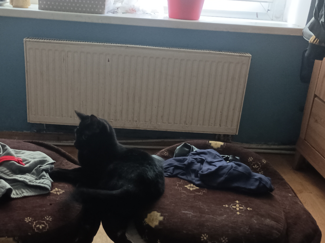 How to claim two seats at once | Scrolller