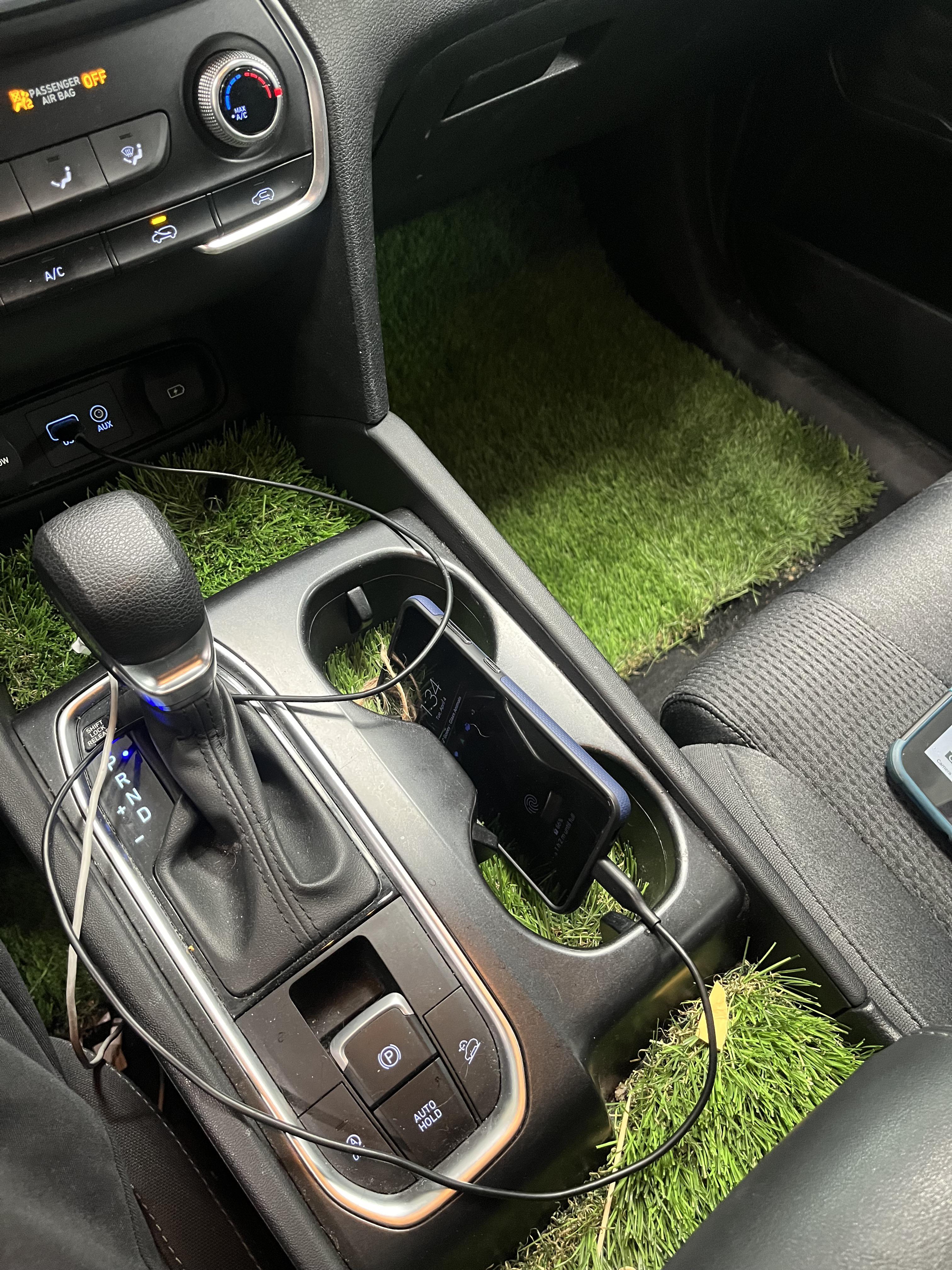 Which one of you did this? | Scrolller