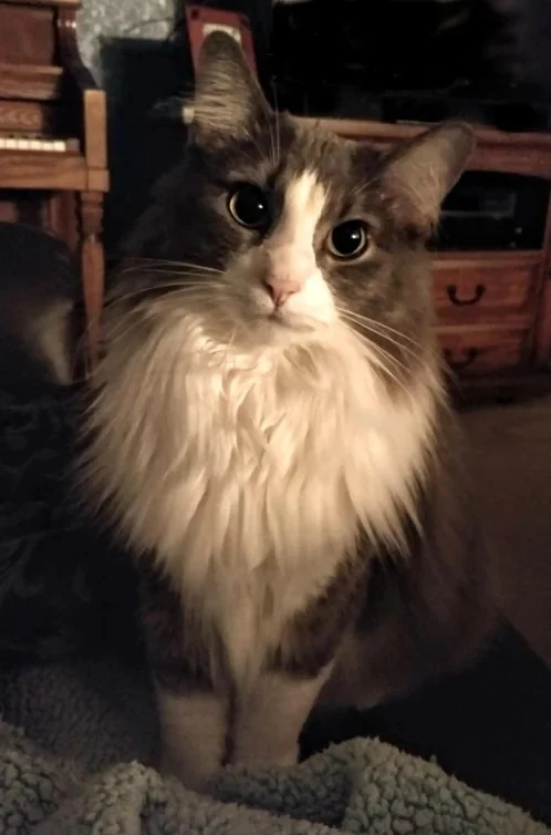 Look at my winter coat. | Scrolller