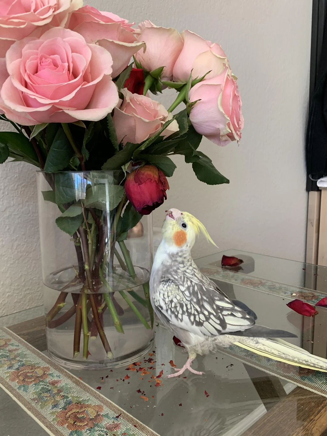 princess of destruction on her tippy-talons 🤌🏼 | Scrolller