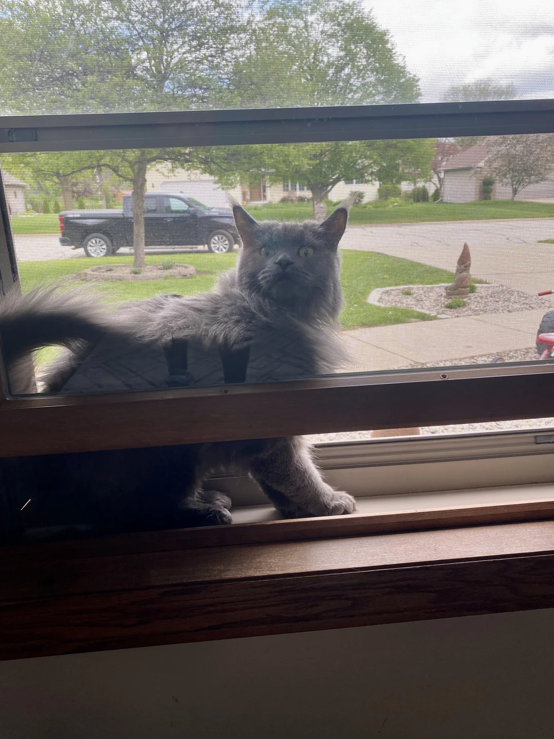 She’s special… | Scrolller