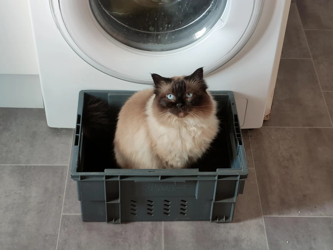 only emptied the dirty cloths from work 20 seconds ago to wash... | Scrolller