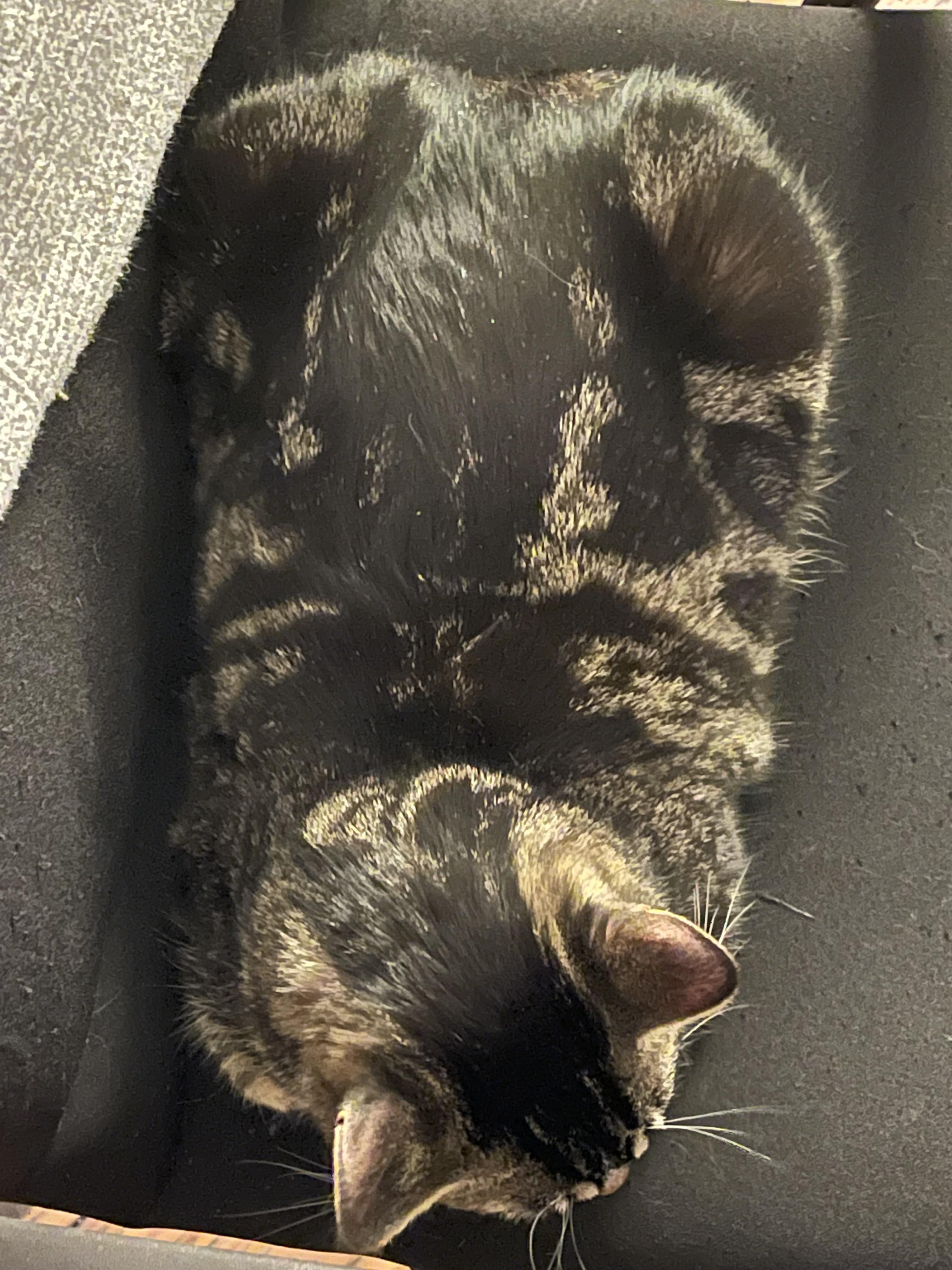 Full Loaf 🍞 | Scrolller