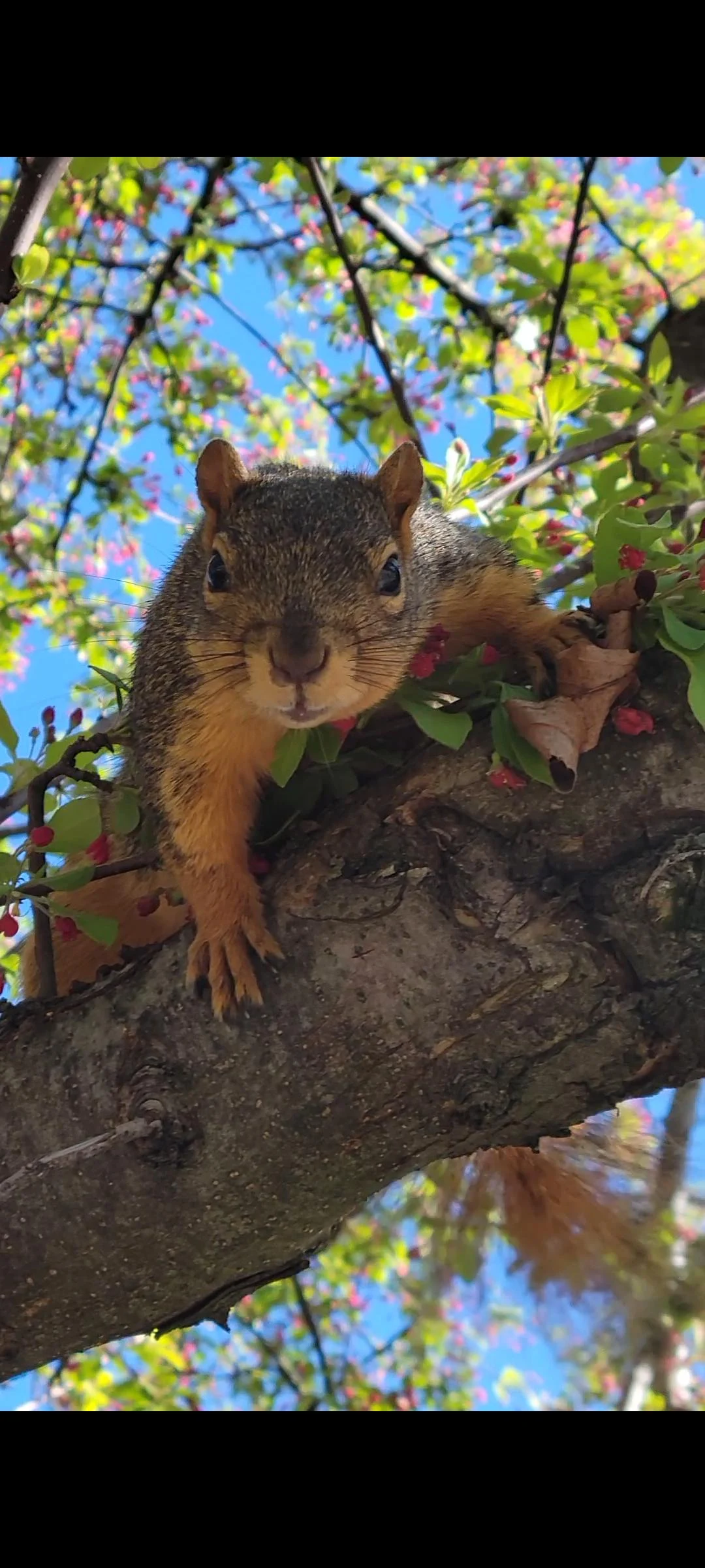 More nuts please! | Scrolller