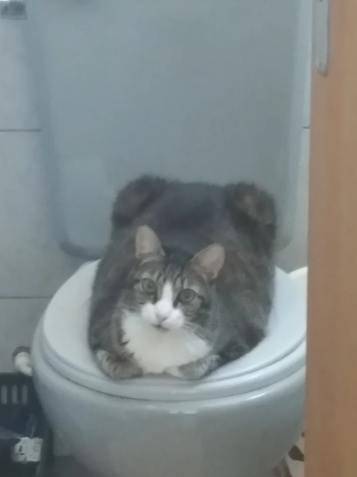 He passed away, but I'm pretty sure that the bathroom is haunted by him, it was his favorite ...