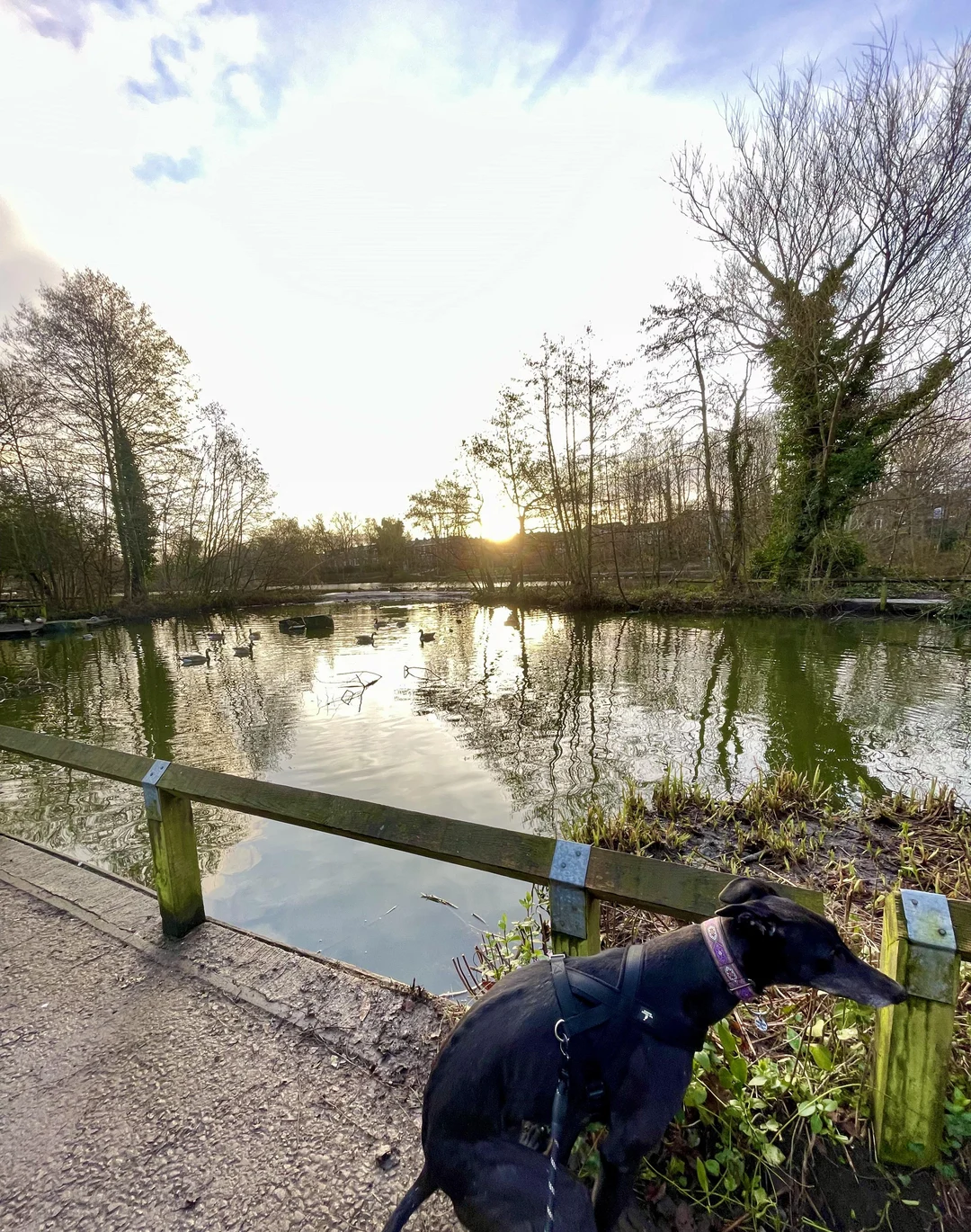 poo with a view | Scrolller