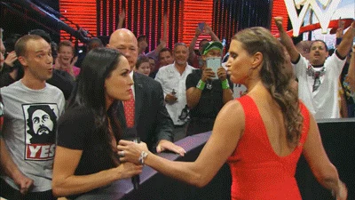 Stephanie slaps Brie Bella | Scrolller