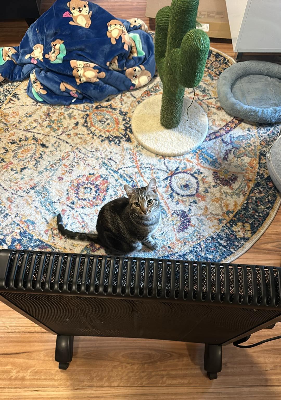 Heating pls | Scrolller