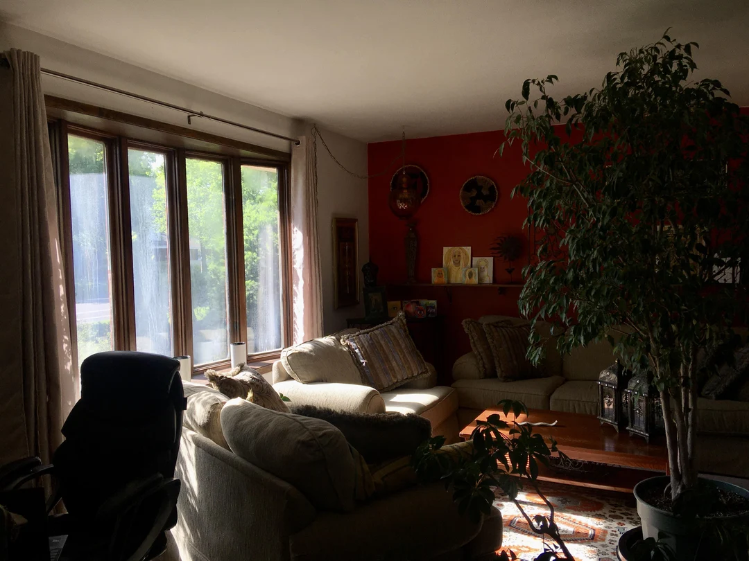 Hide n Seek Master: Level 100 | Scrolller