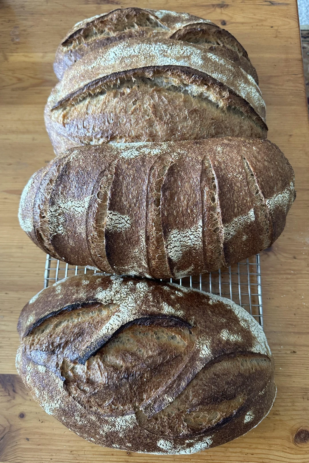 Some loaves from this past weekend. | Scrolller