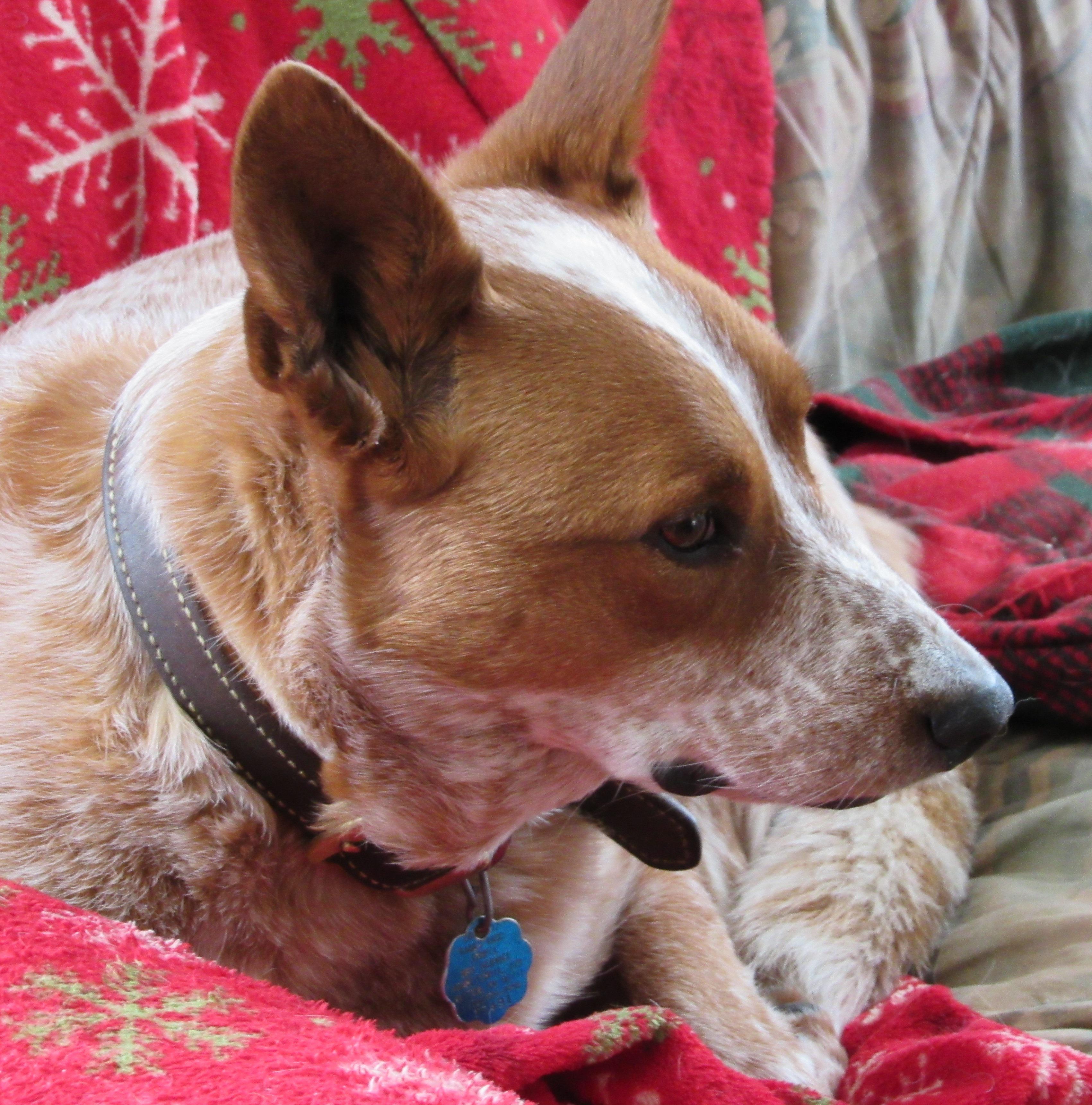 P.F. Flyer, contemplating life, the universe, and everything | Scrolller