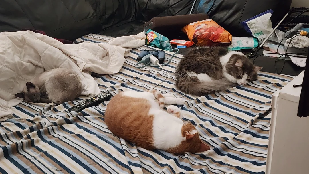 It worked! | Scrolller