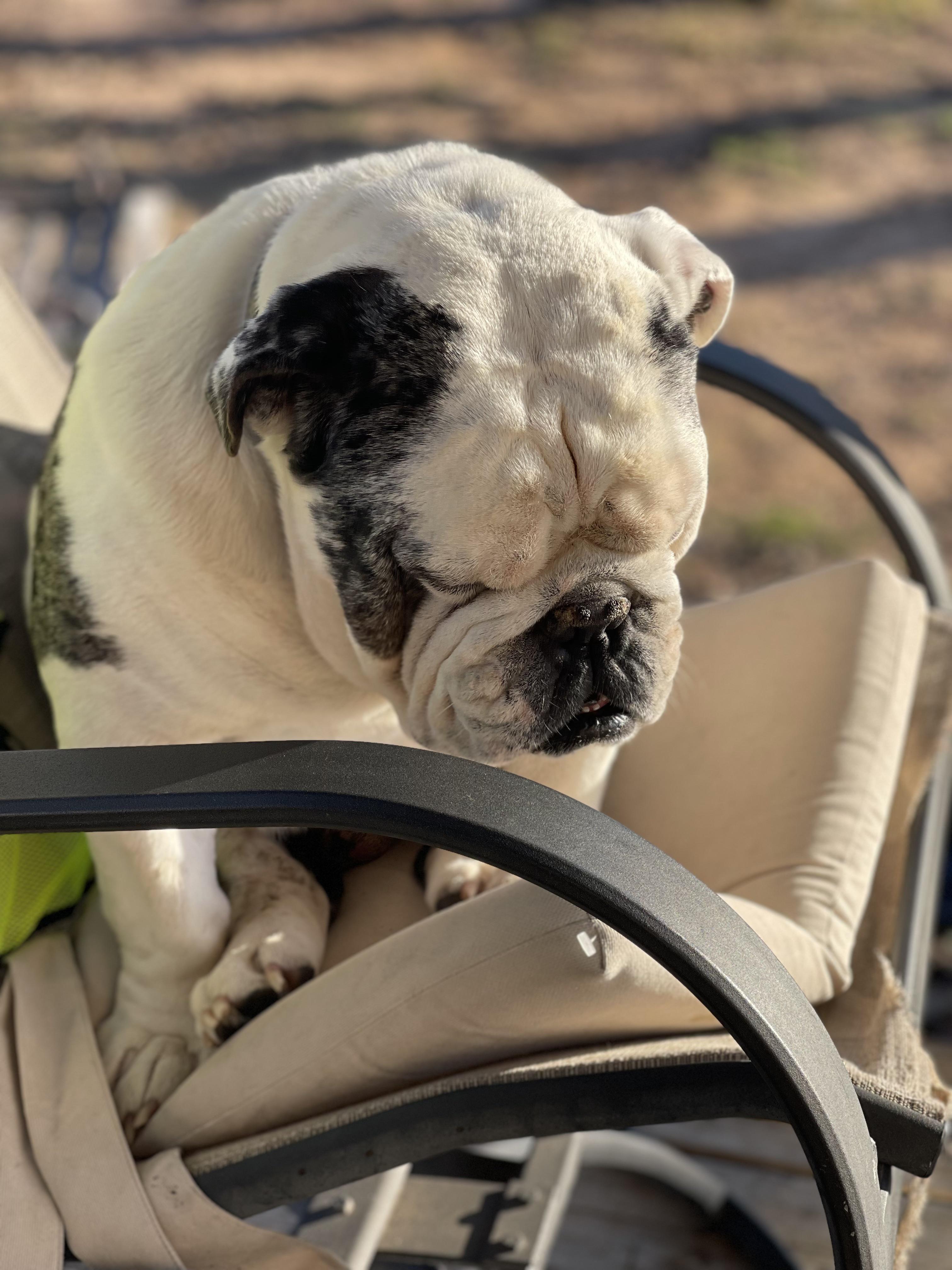 Lyric really has it rough | Scrolller