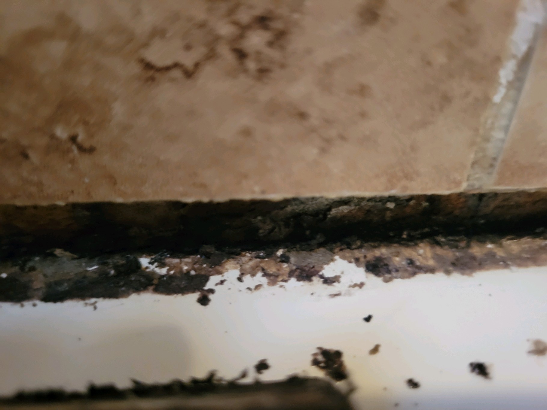 Any recommendations on how to fix this trim in my shower? | Scrolller