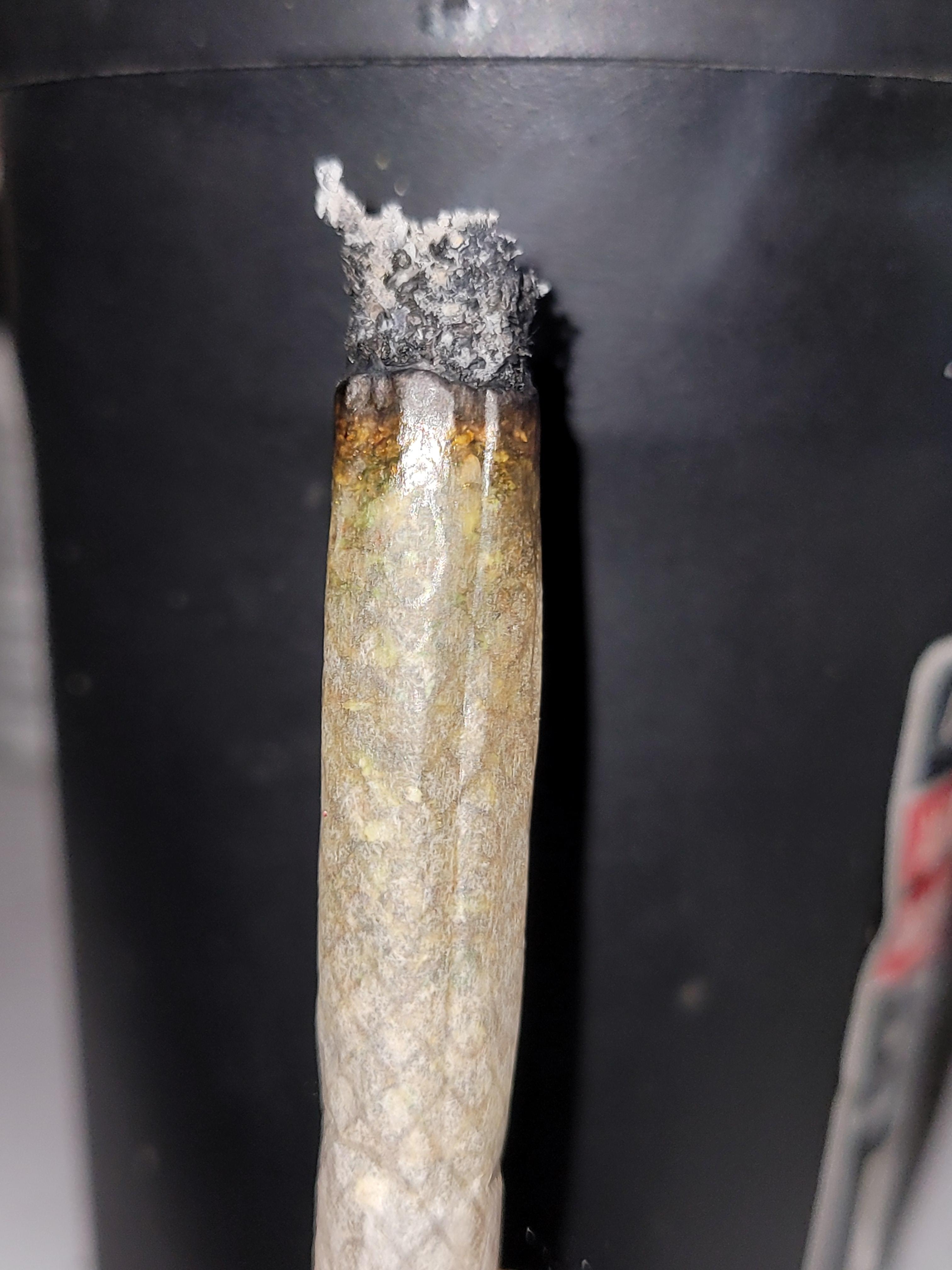 Grape Runtz | Scrolller