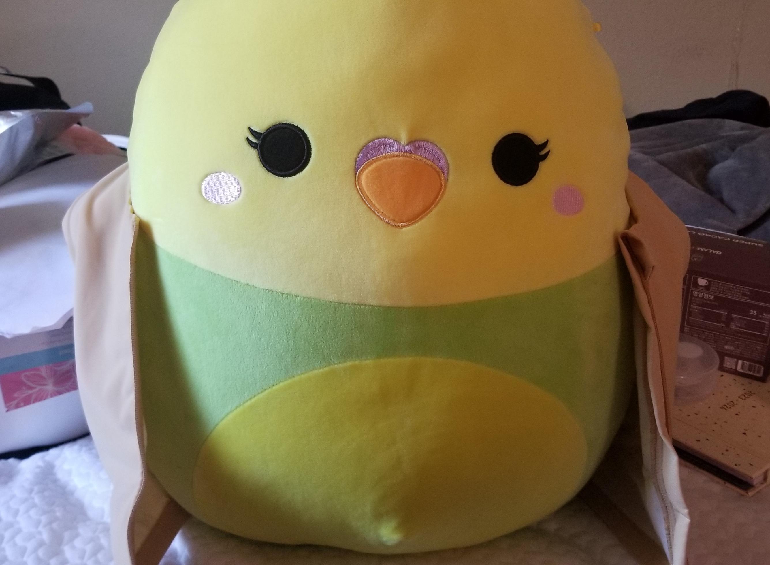 Discover more like Trans: My squishmallow wearing my binder as a vest 😅 ...