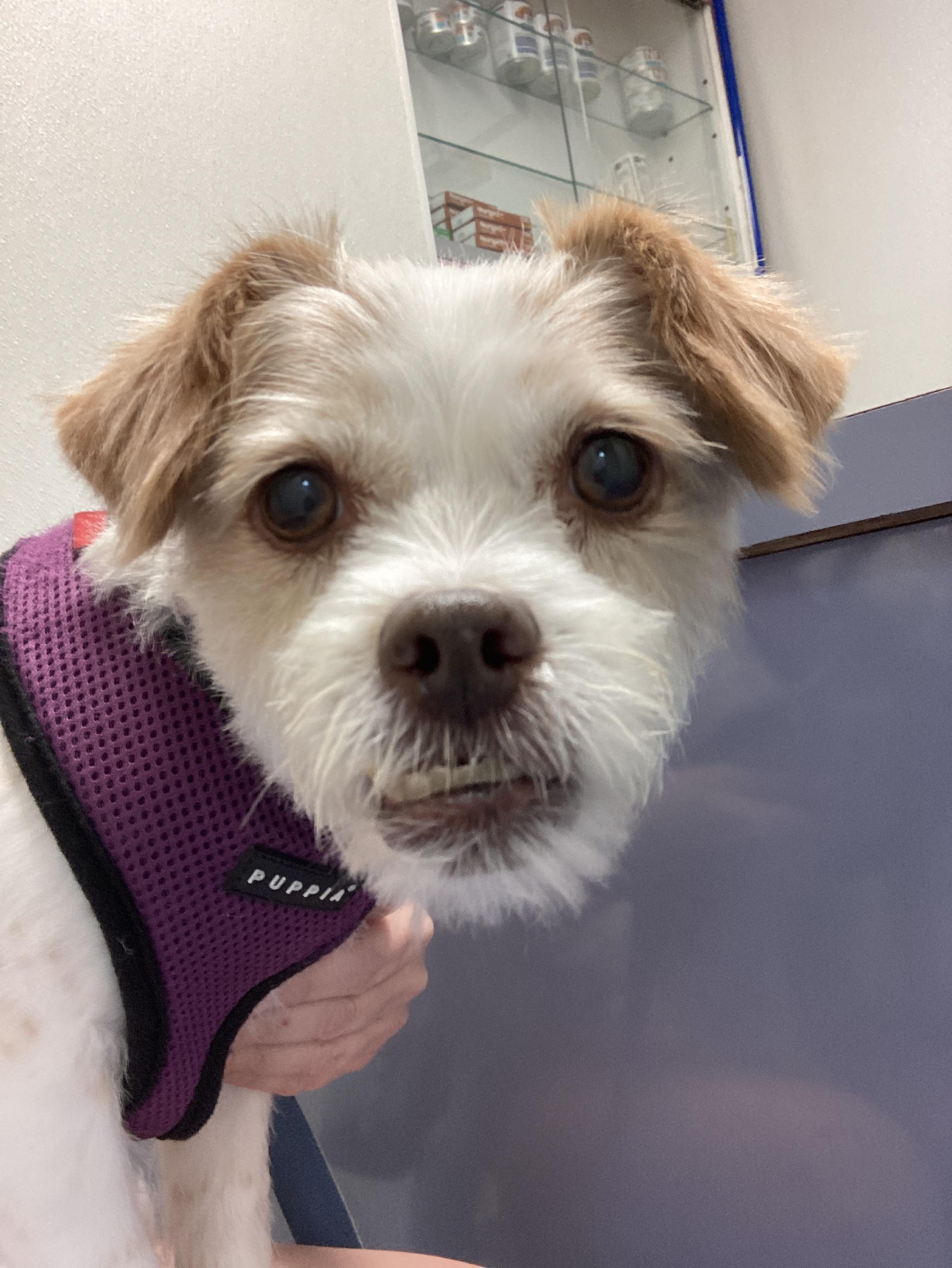 [WIP] Temperature Stitch! | Scrolller