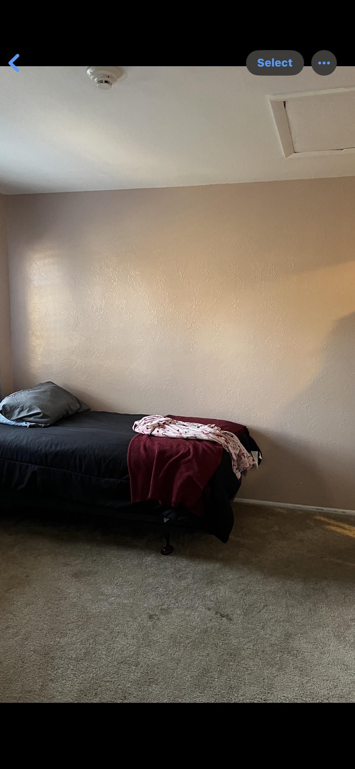 What is this wall texture and how do I replicate it? | Scrolller