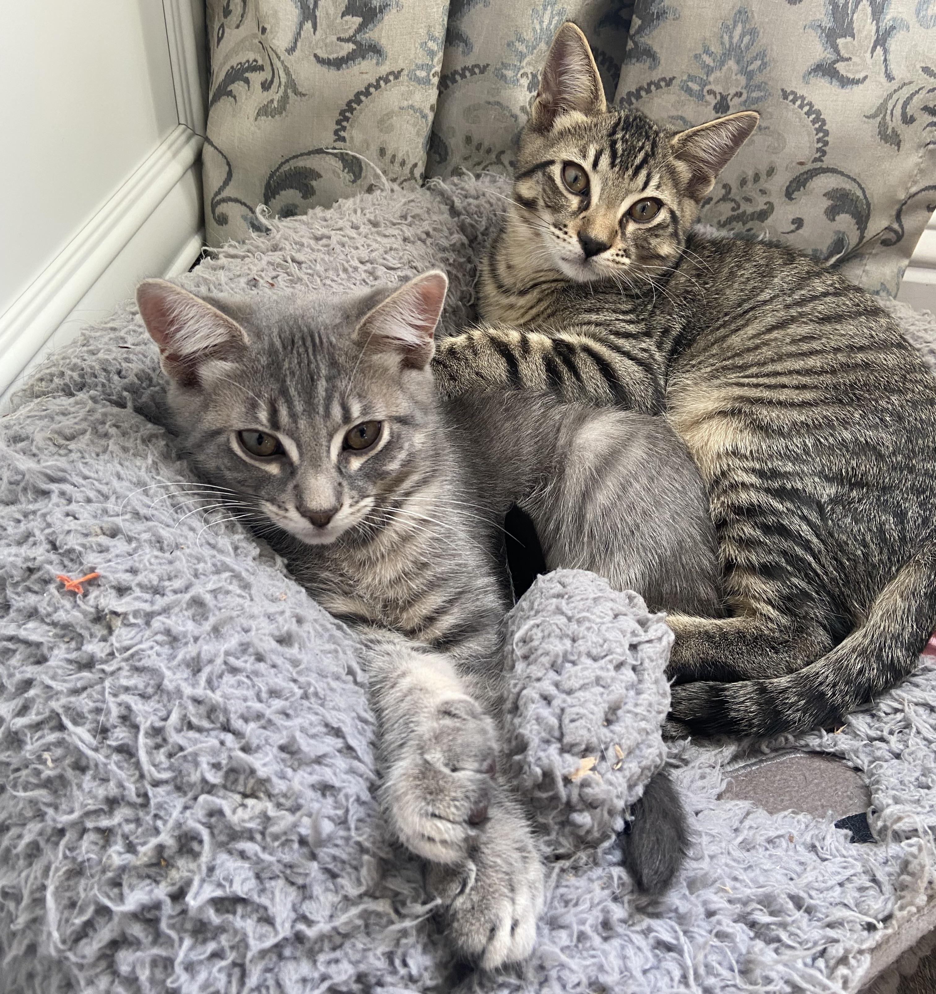 Rob and Goose then -> now! | Scrolller