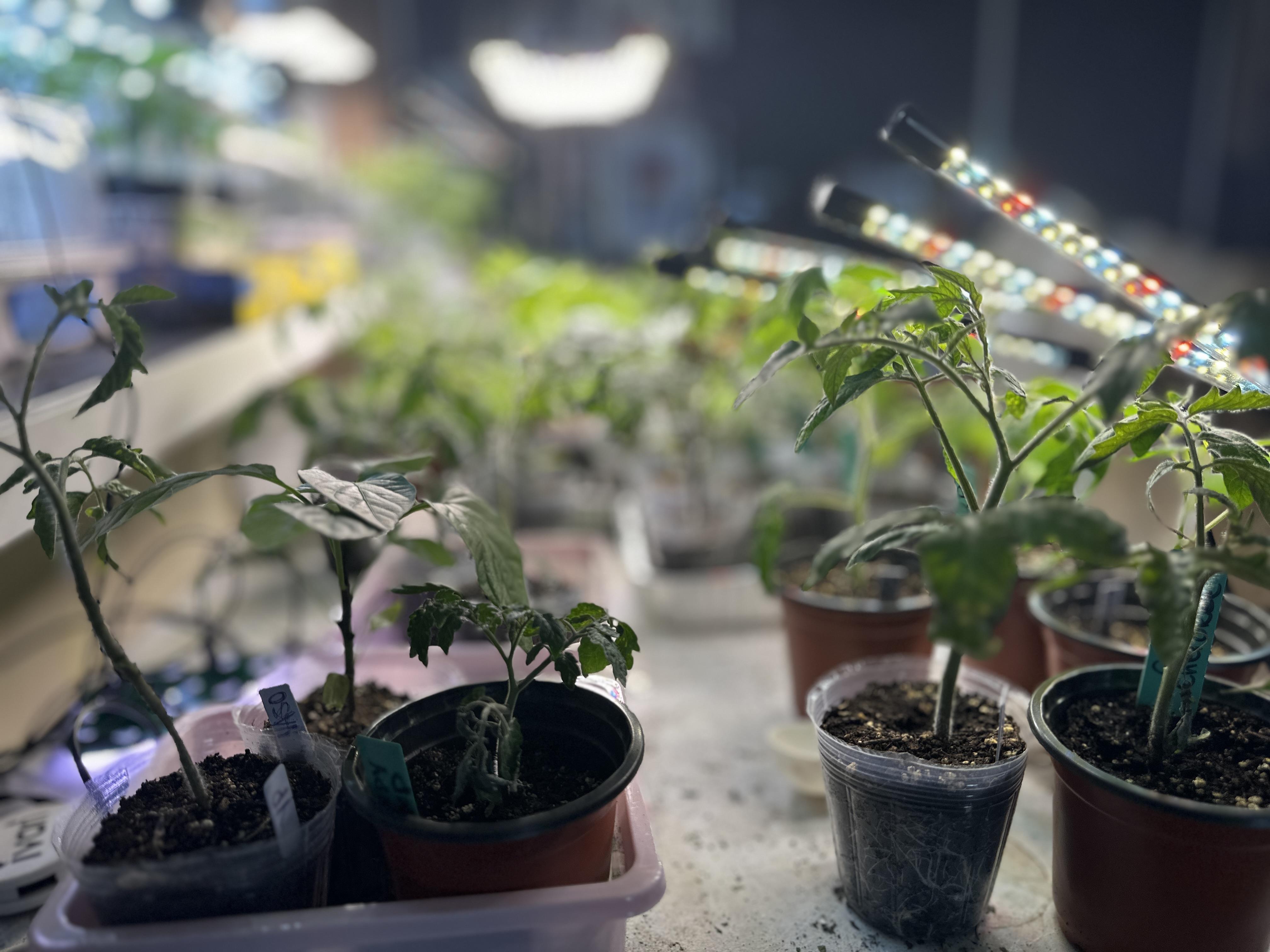 Discover more like Gardening: Gardening with ADHD and Related Content | Scrolller