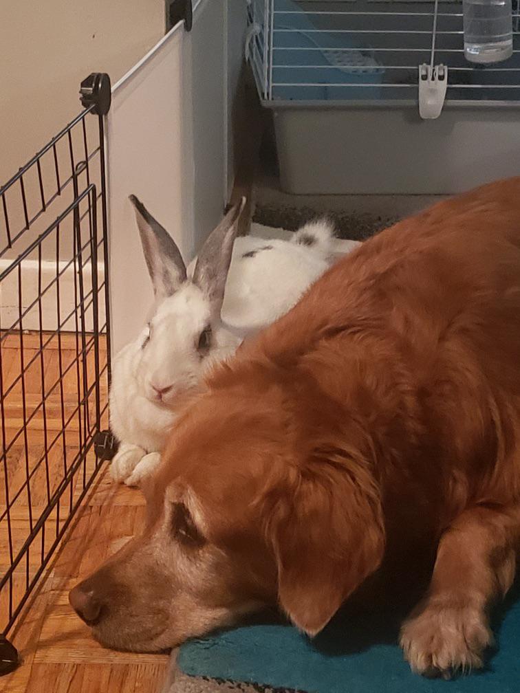 Willow and Freddy | Scrolller