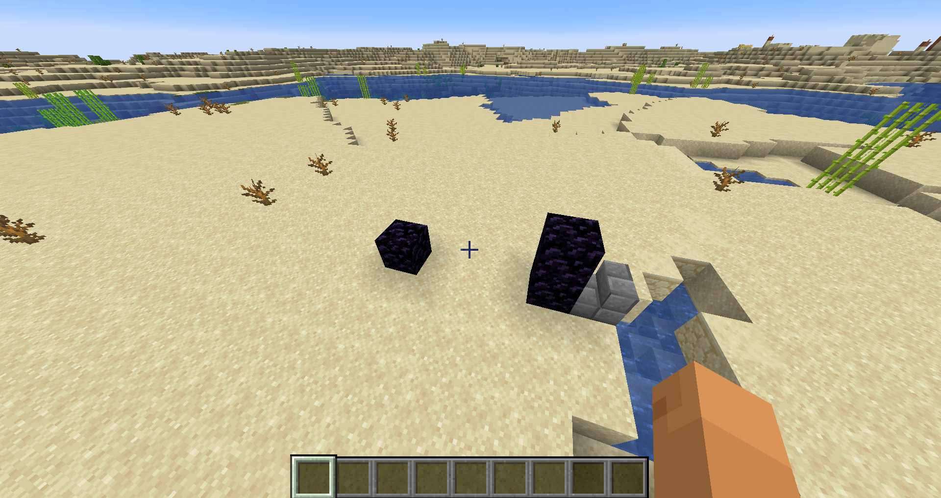 Probably the coolest seed I've ever stumbled upon. Buried portal, multiple villages, biomes ...