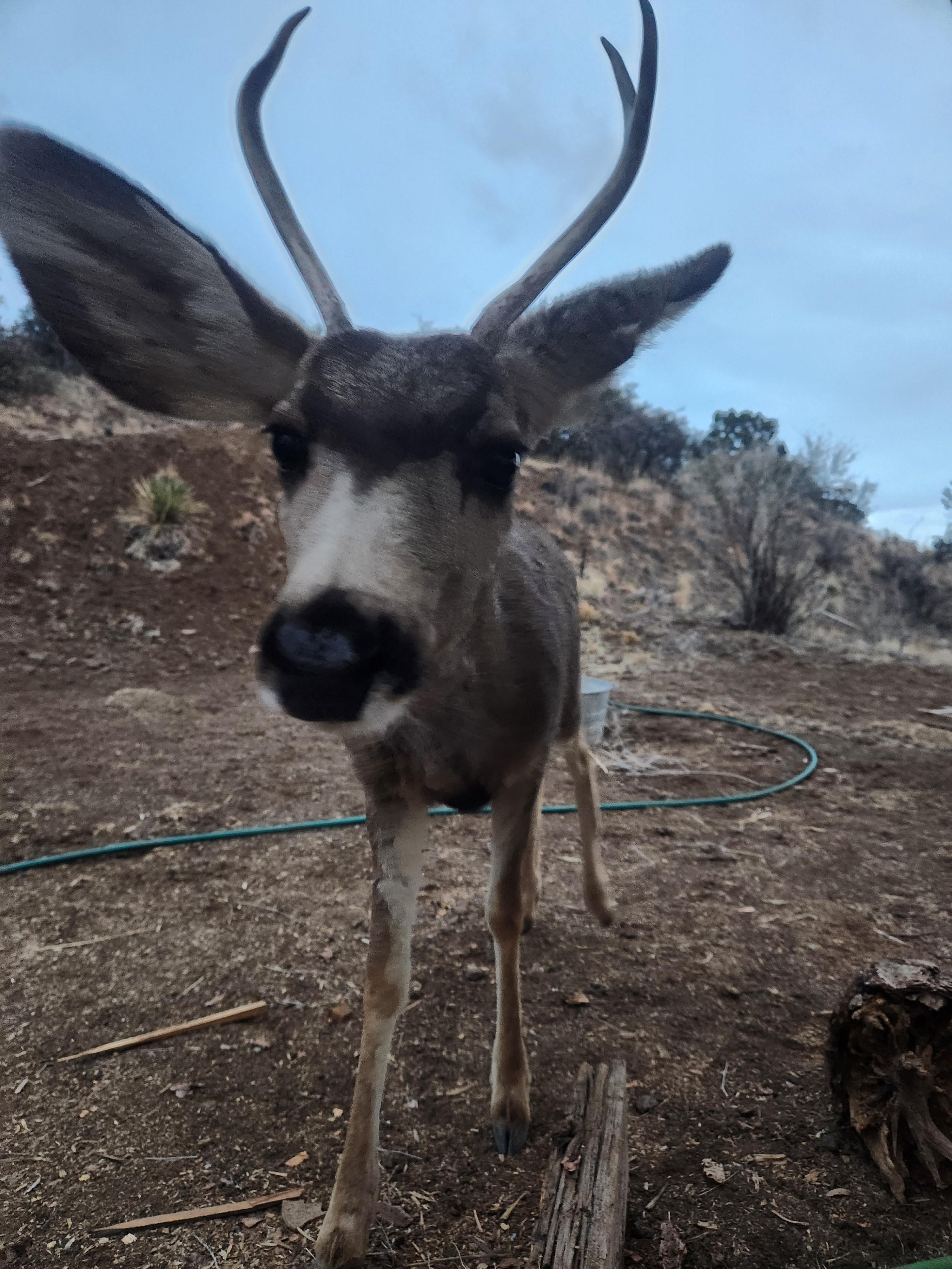 So tiny... | Scrolller