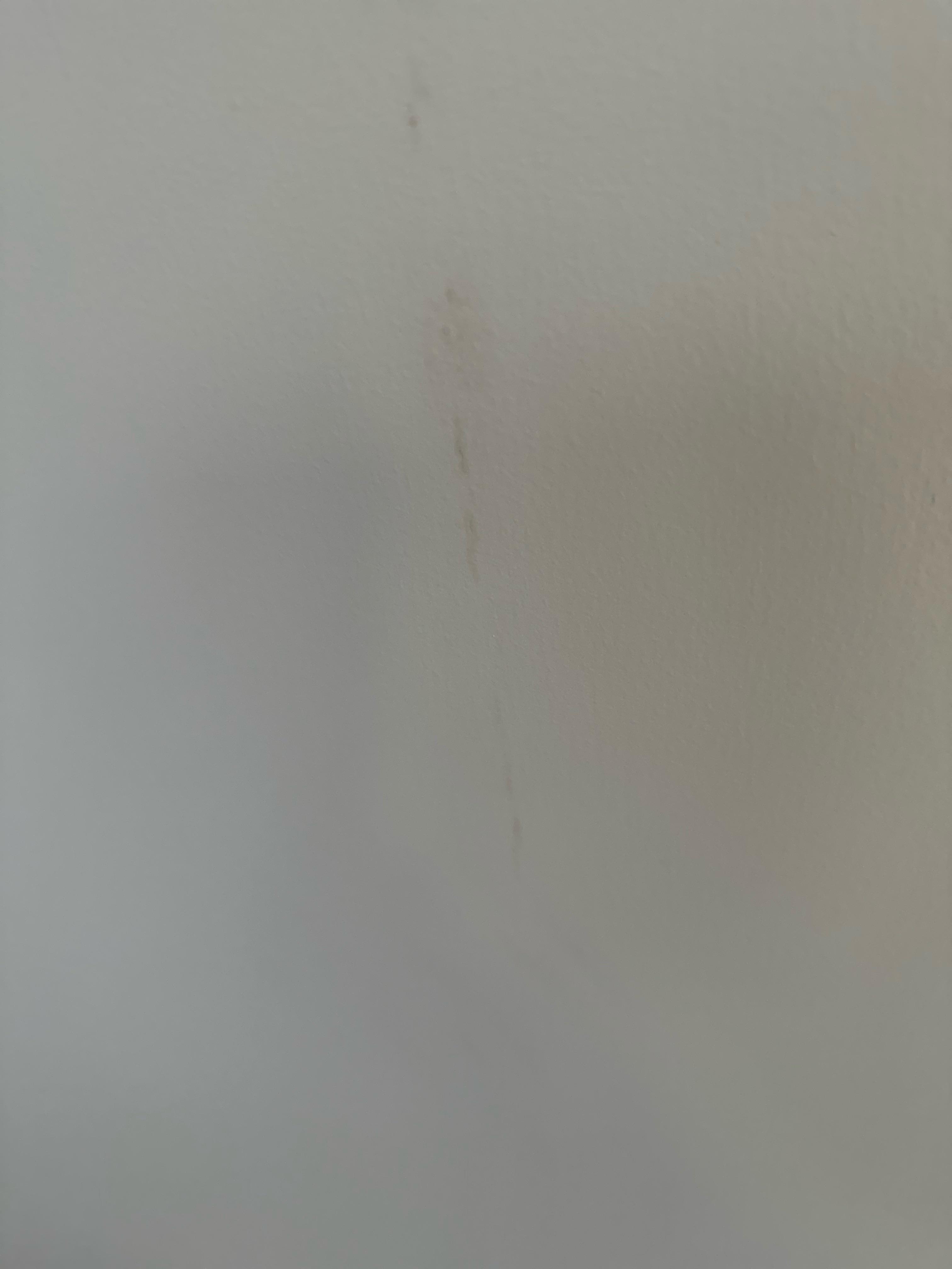 Is this messed up drywall tape or water damage? | Scrolller