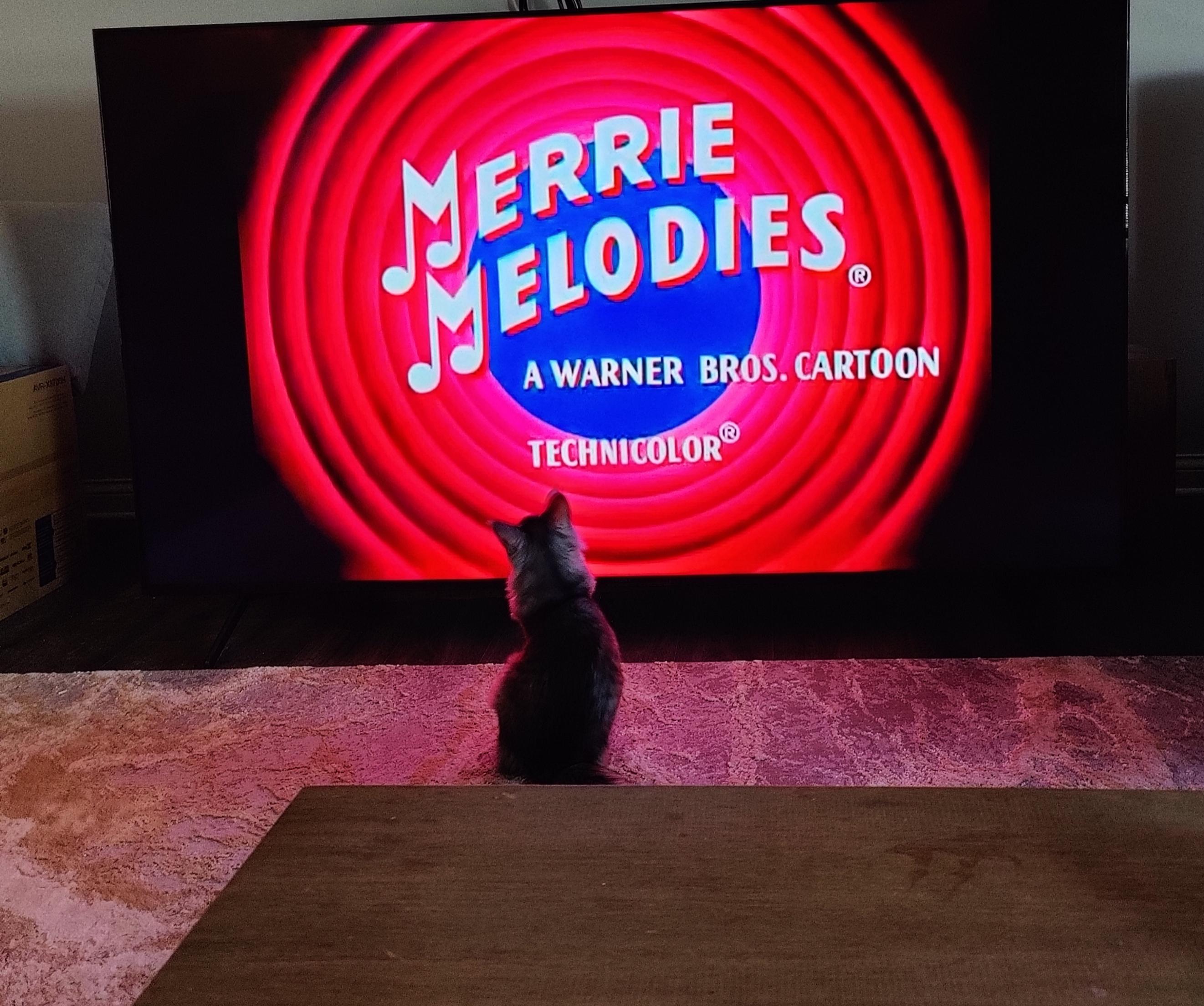 Bonding time with the two troublemakers. | Scrolller