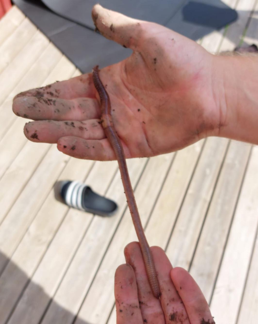 You think I'm gonna get any fish on this snake sized Worm? | Scrolller