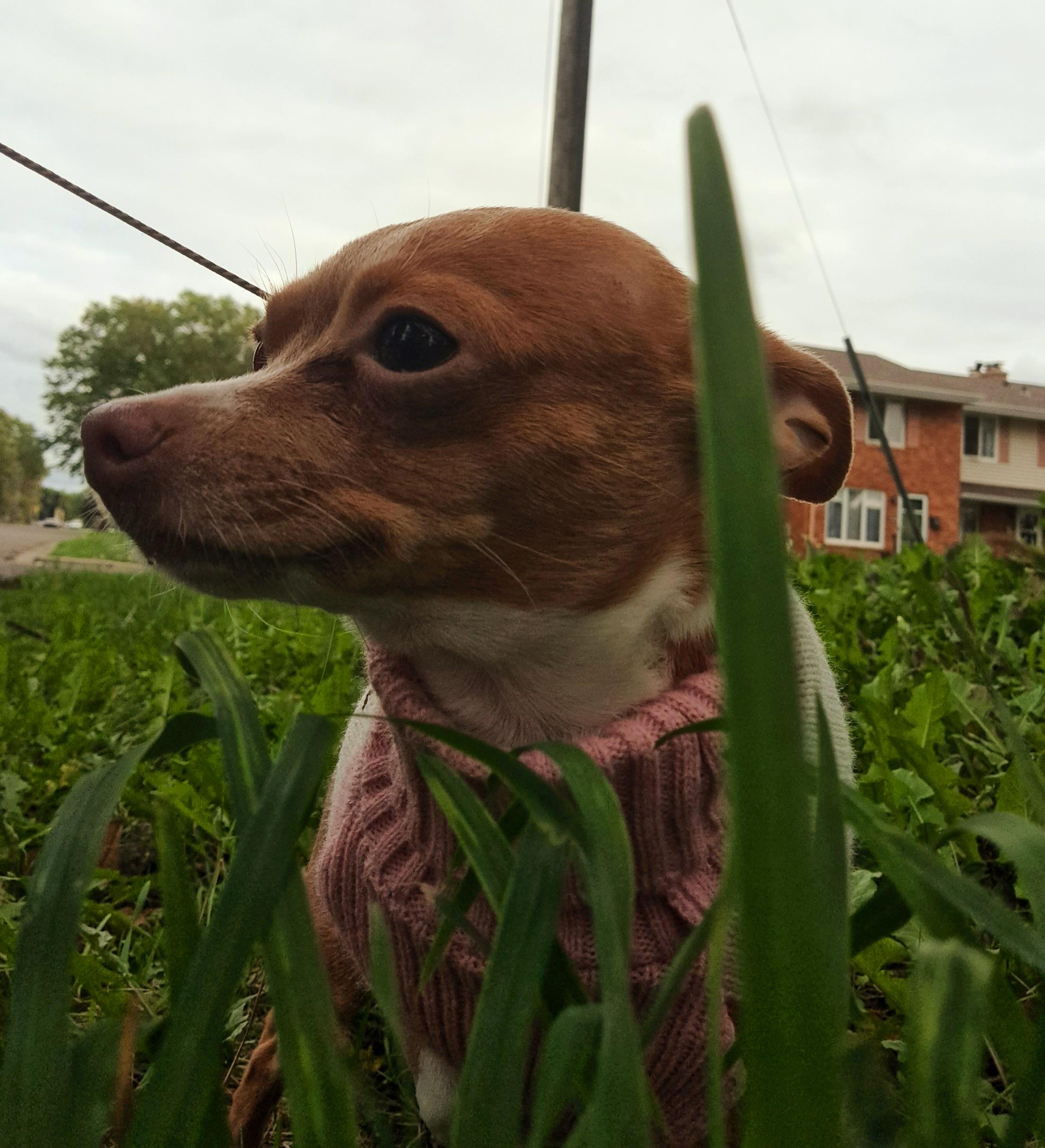 Sweater Weather | Scrolller